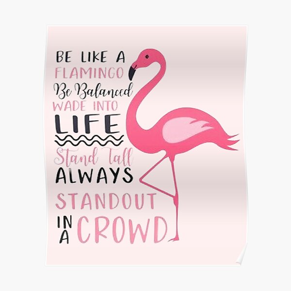 "Be like flamingoes | gift for bird lovers | flamingo design" Poster ...