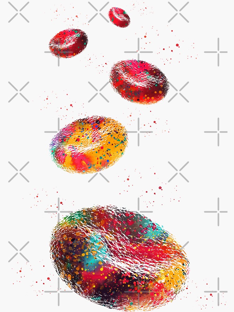 "Red Blood Cells" Sticker for Sale by erzebetth | Redbubble