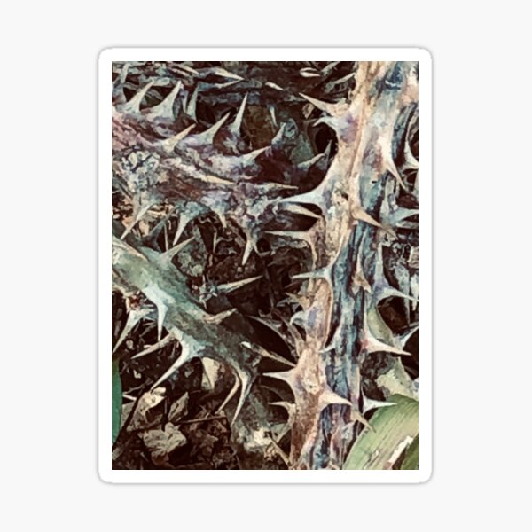 "Prickle Me" Sticker for Sale by Amospicazo | Redbubble