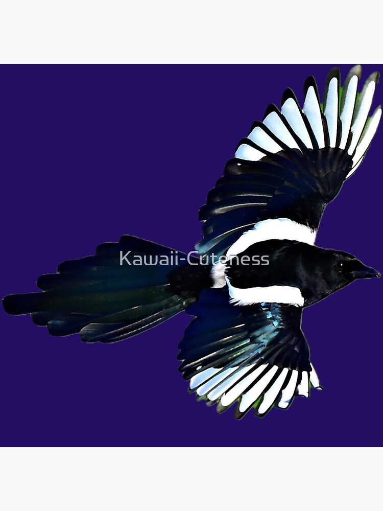 "Flying Magpie" Poster for Sale by Kawaii-Cuteness | Redbubble