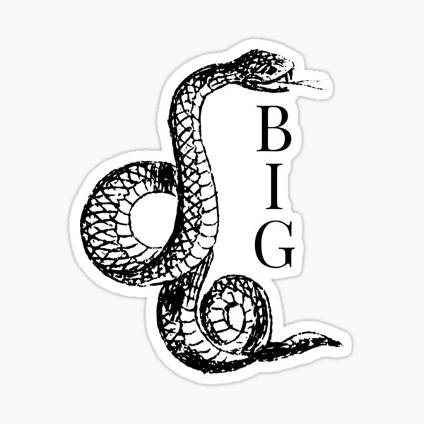 "Snake Big" Sticker for Sale by DJaeR | Redbubble