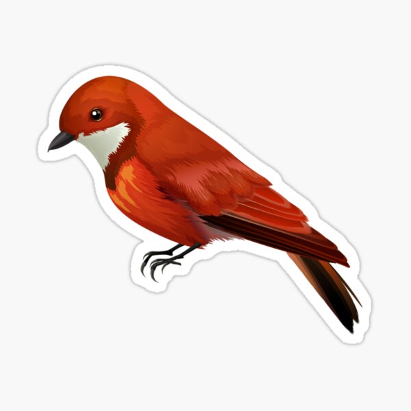 "Mini sparrow. Small red bird design and texture." Sticker for Sale by ...