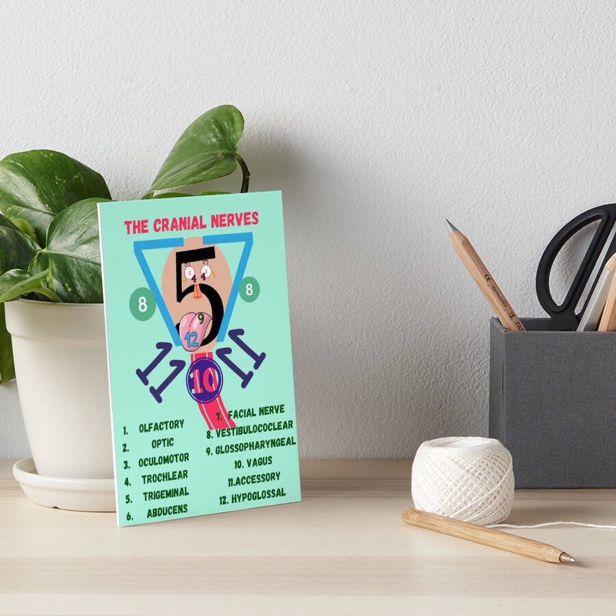 "The Cranial Nerves ] Nursing Student ] Medical Students" Art Board ...