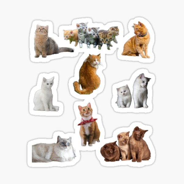 "kitten Love-awesome Cats pack, For Cats Lover." Sticker for Sale by ...