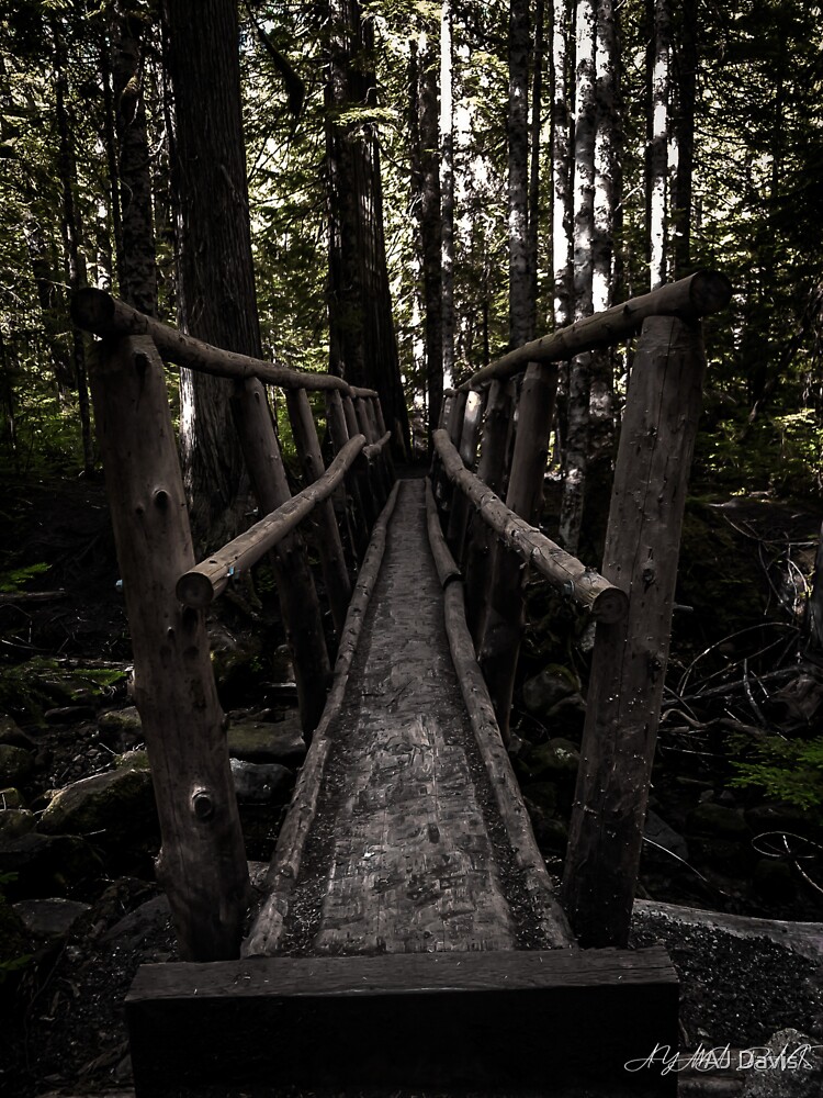 "Wood Bridge" Sticker for Sale by ayanad0426 | Redbubble