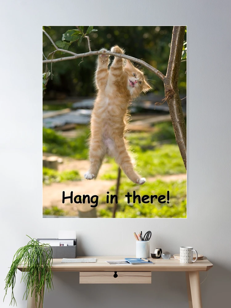 The 30 Funniest Cat Poster Quotes To Hang On Your Walls