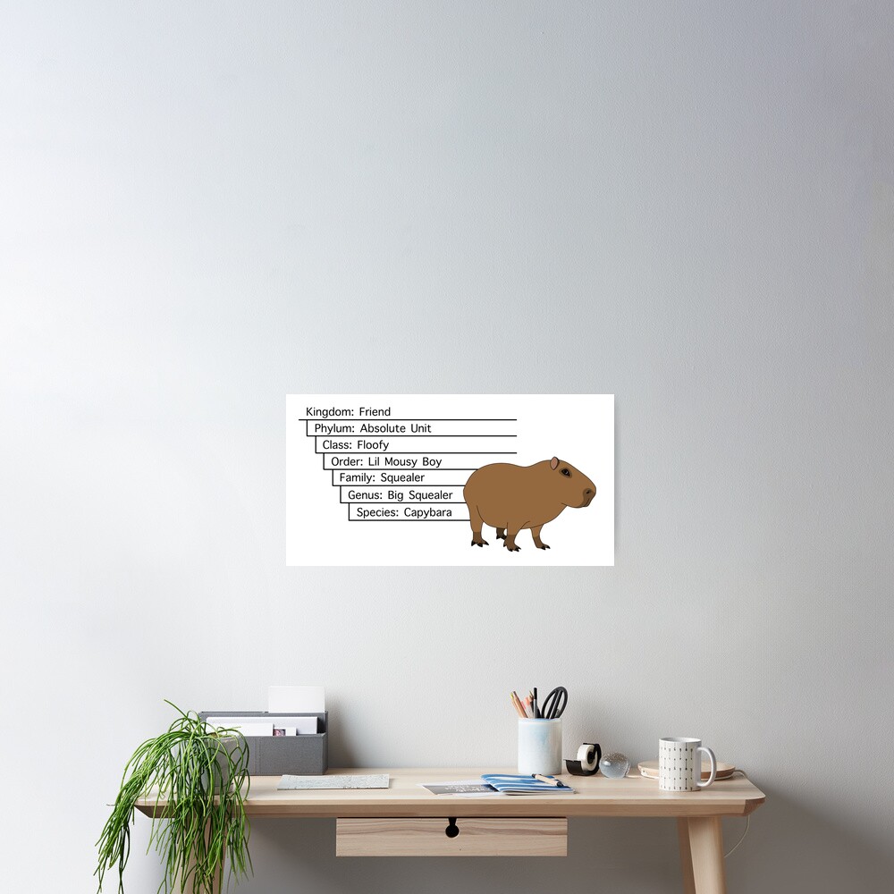 "Capybara Classification" Poster for Sale by PoeTatoes | Redbubble