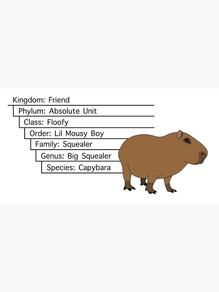"Capybara Classification" Poster for Sale by PoeTatoes | Redbubble