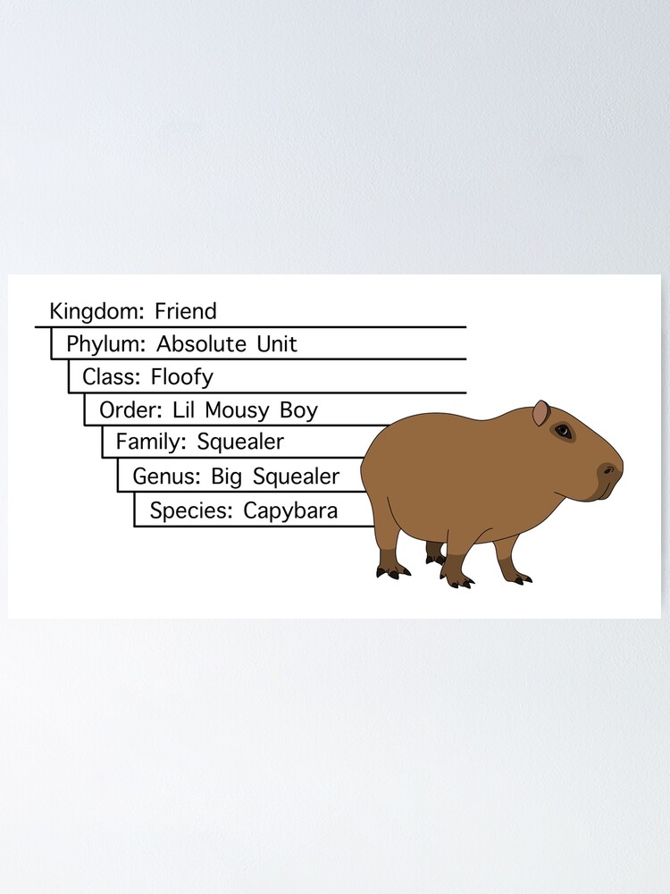 "Capybara Classification" Poster for Sale by PoeTatoes | Redbubble