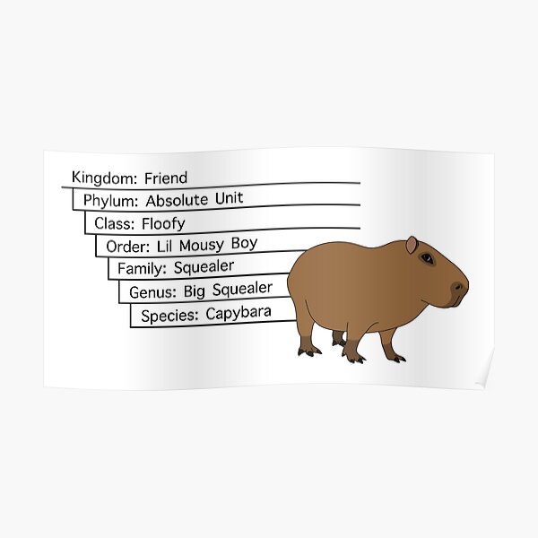 "Capybara Classification" Poster for Sale by PoeTatoes | Redbubble