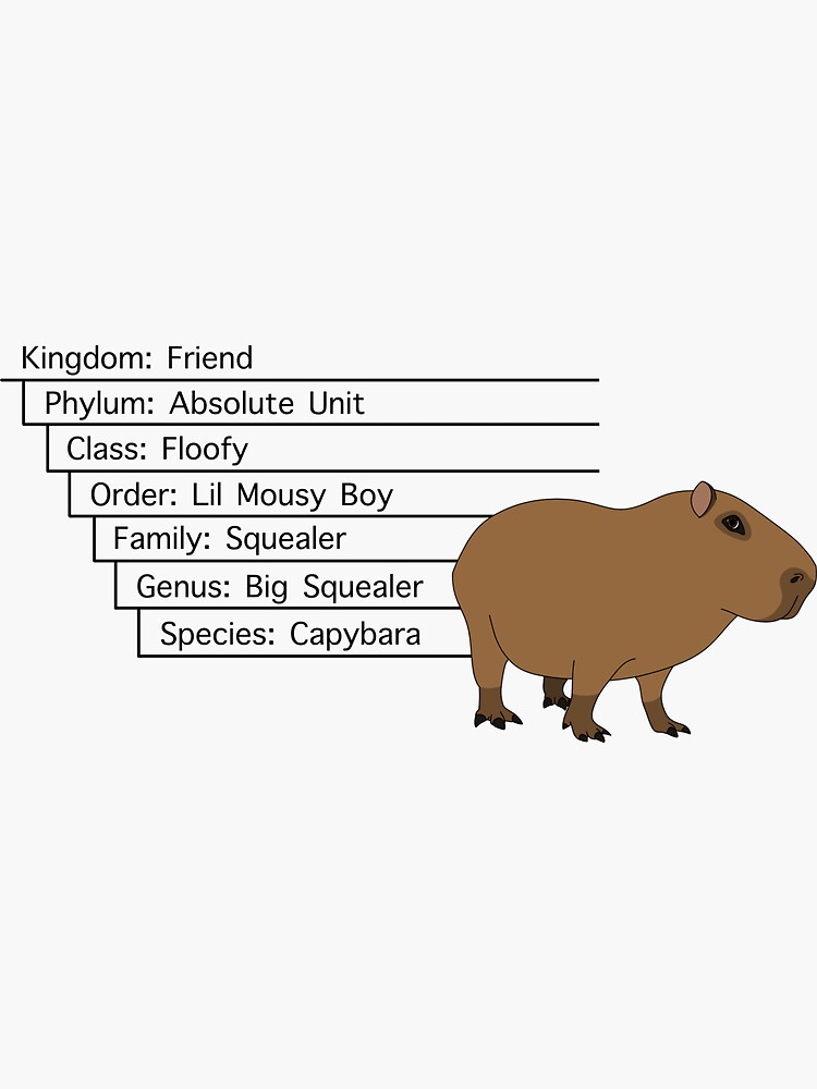 "Capybara Classification" Sticker for Sale by PoeTatoes | Redbubble