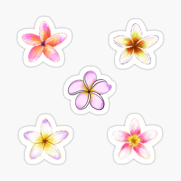 "Plumeria Flower sticker pack" Sticker for Sale by rolsonDesign | Redbubble