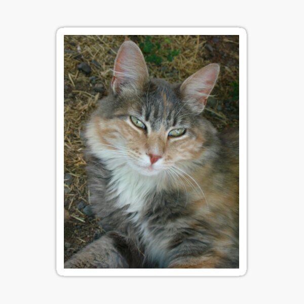 "Lulu " Sticker by aura2000 | Redbubble