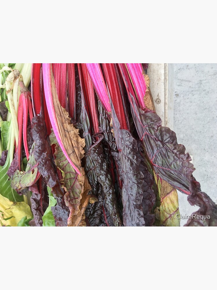 "Rabarba" Poster for Sale by ClaireRequa | Redbubble