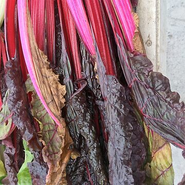 "Rabarba" Poster for Sale by ClaireRequa | Redbubble