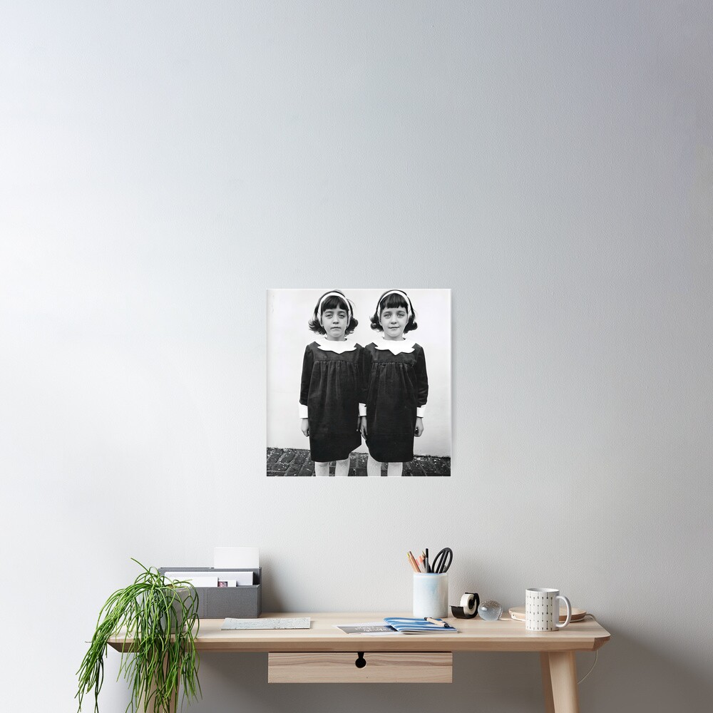 "Identical Twins, Roselle, New Jersey, 1967" Poster for Sale by ...