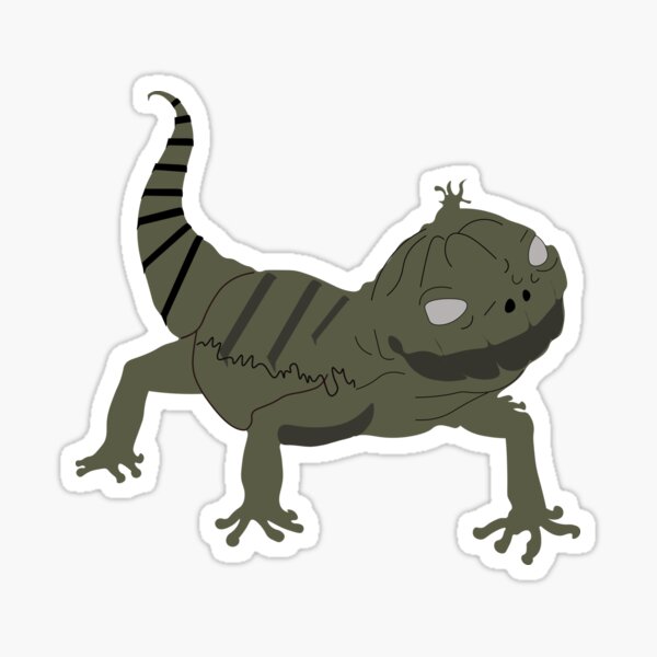 "Iguana (a genus of herbivorous lizards)-animal design" Sticker for ...