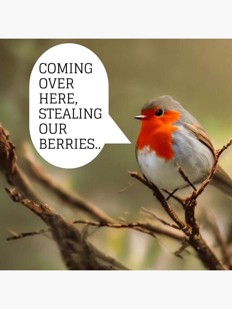 "Angry robin" Sticker for Sale by ArtySaxon | Redbubble