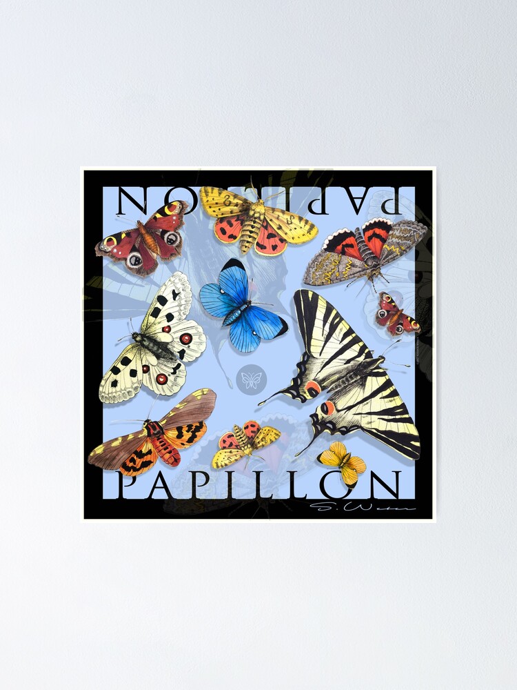 "PAPPILLON - BLACK BORDER" Poster for Sale by helmetheads | Redbubble