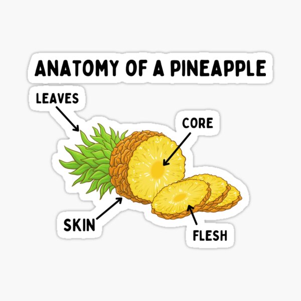 Pegatina «Anatomía de una piña frutas de verano200» de EldredMosciski ...