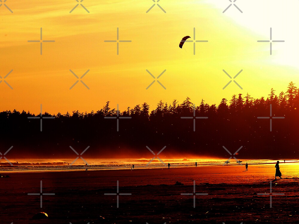 "Amber Sunset At Long Beach" by Gail Bridger | Redbubble