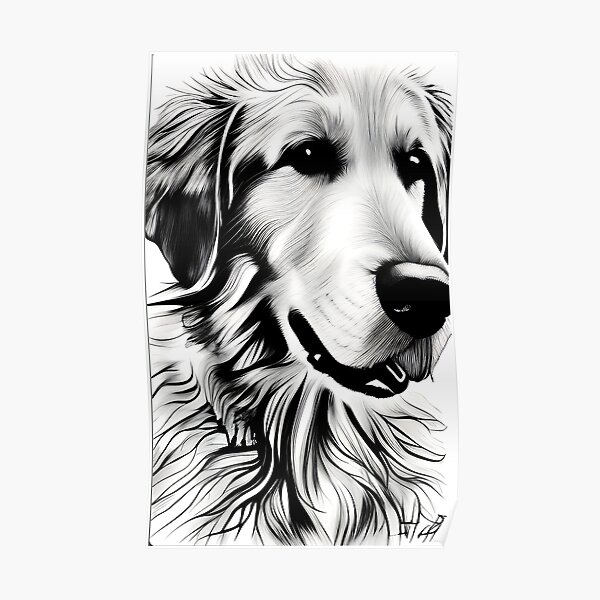 "Golden Retriever dog drawing " Poster for Sale by HeyBonnArt | Redbubble