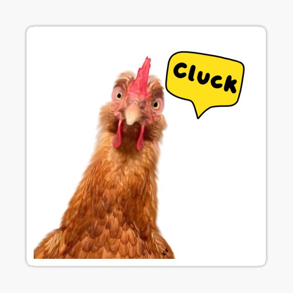 "A Chicken Goes Cluck " Sticker for Sale by Theartofbipolar | Redbubble