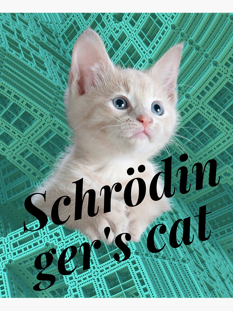 "Schrödinger's cat in the fifth dimension" Sticker for Sale by creangat ...