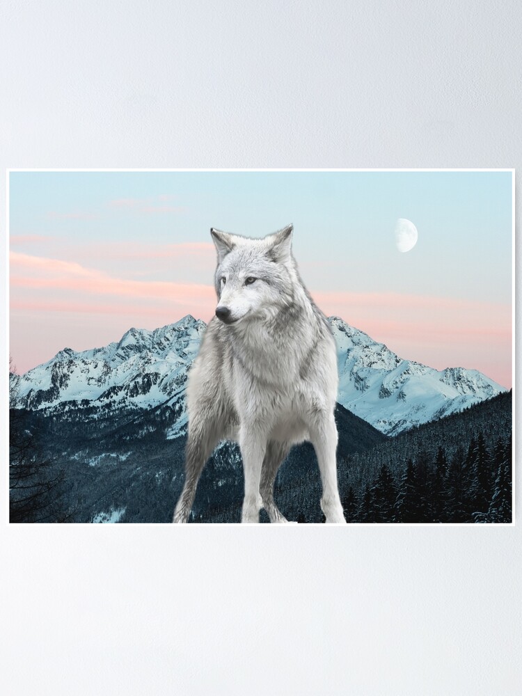 "Grey Mountain Wolf - Moon Mountain Wolf - White Wolf Art" Poster for ...