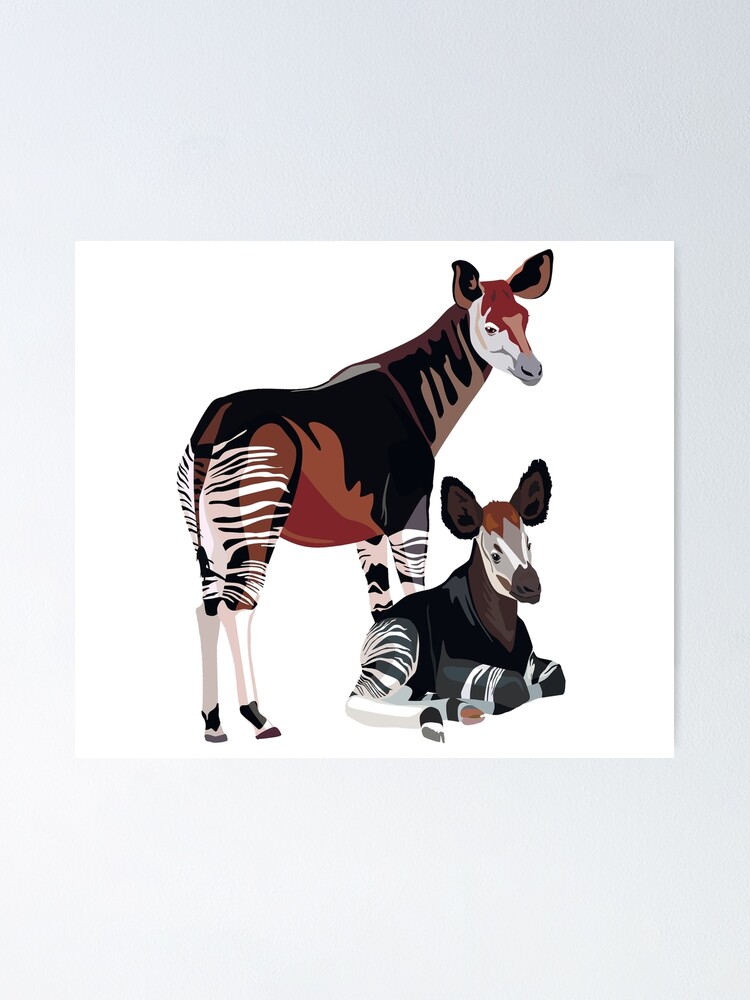 "Cute Okapi" Poster for Sale by virillanissa | Redbubble