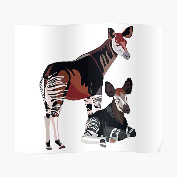 "Cute Okapi" Poster for Sale by virillanissa | Redbubble