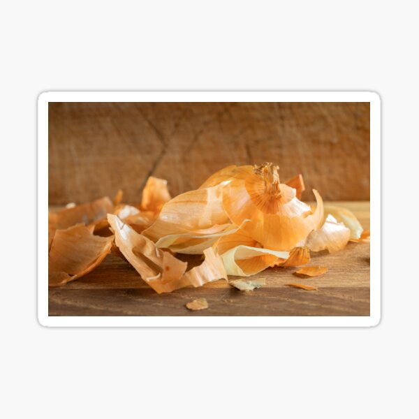 "Onion peel or skin on " Sticker for Sale by SebastianStudio | Redbubble