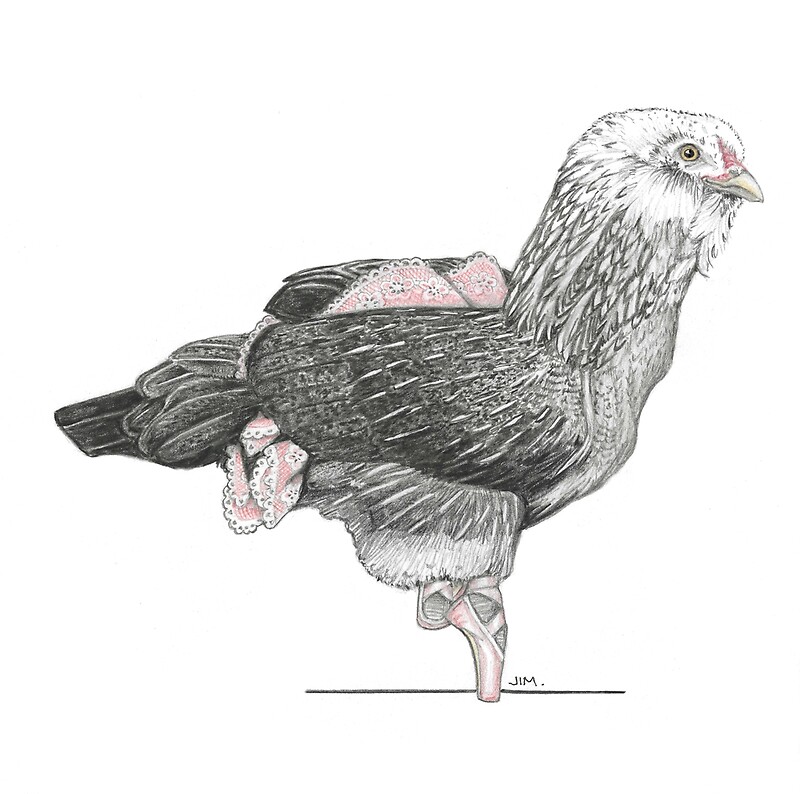 "Owly The Fluffy Faced Disabled Chicken in Ballet Shoes" by JimsBirds ...