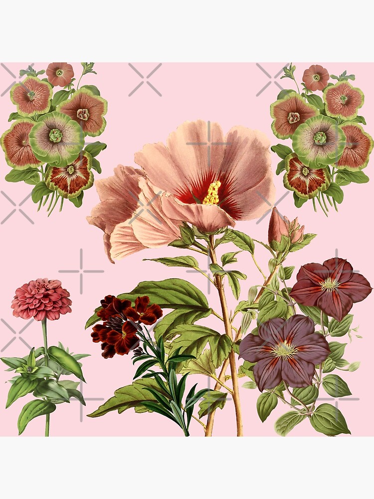 "Aesthetic vsco summer flower, Nature True Color" Poster for Sale by ...