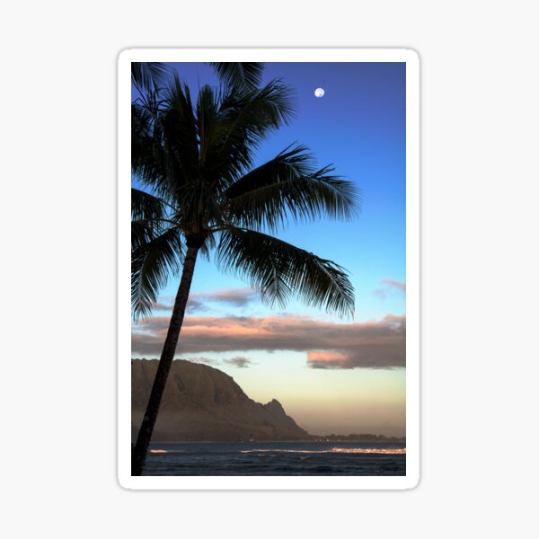 "Sunrise Over Puu Poa Beach" Sticker by CSWard | Redbubble