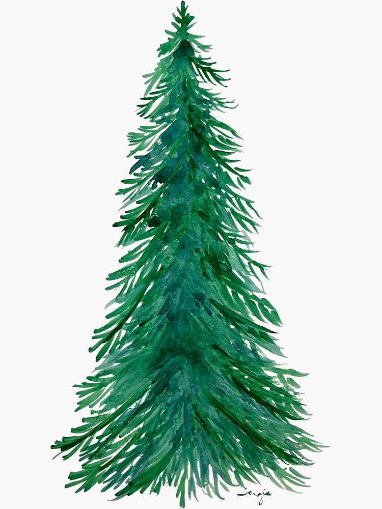 "Watercolor Evergreen Tree" Sticker for Sale by angieadair | Redbubble