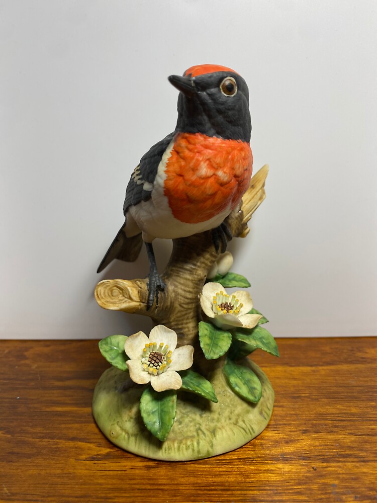 "Red Capped Robin Australian Birds" Sticker for Sale by Shmik | Redbubble