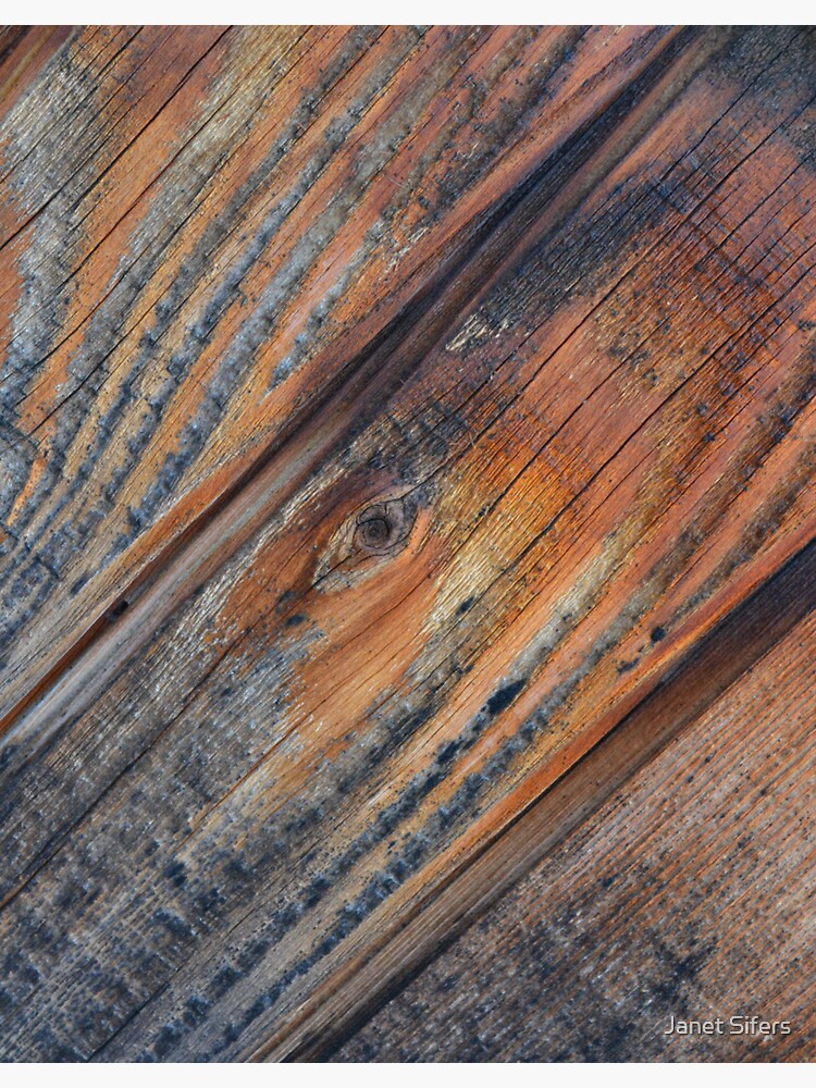 "The Observer" Sticker for Sale by JWSPhotography | Redbubble