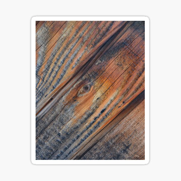 "The Observer" Sticker for Sale by JWSPhotography | Redbubble