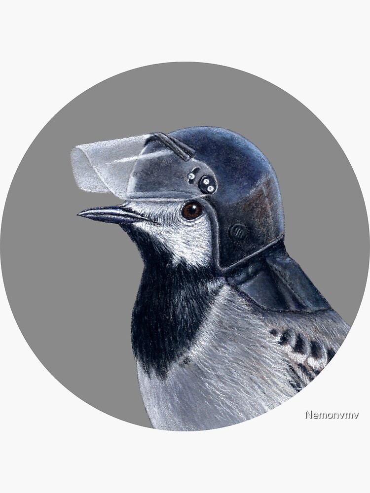 "White wagtail" Sticker for Sale by Nemonvmv | Redbubble