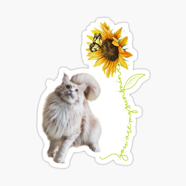 "You're My Sunshine Sunflower Butterfly Light Brown Furry Cat" Sticker ...
