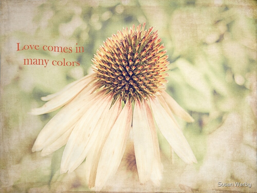 "Love comes in many colors" by Susan Werby | Redbubble