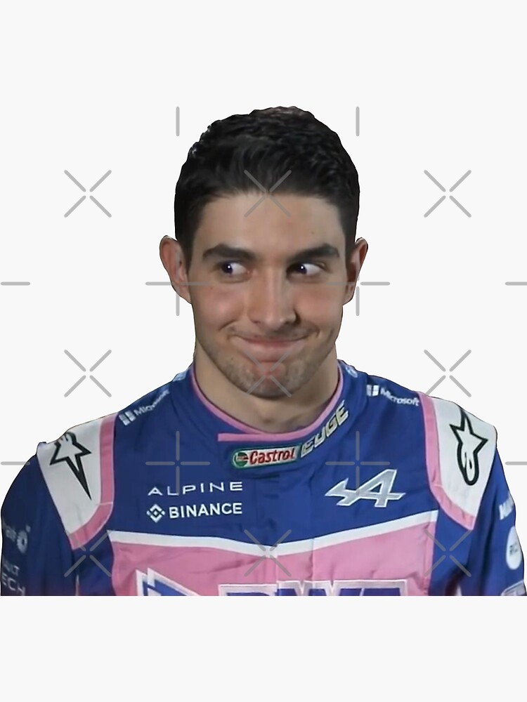 "Estie Bestie reaction meme" Sticker for Sale by Matick | Redbubble