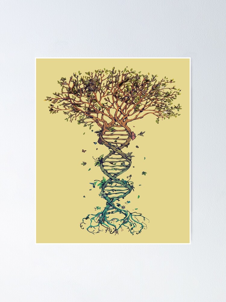 "DNA TREE OF LIFE SCIENCE ART" Poster for Sale by artzaka | Redbubble
