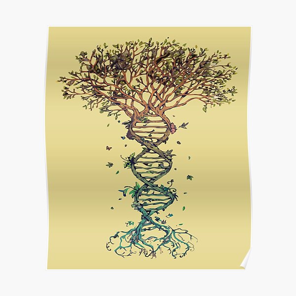 "DNA TREE OF LIFE SCIENCE ART" Poster for Sale by artzaka | Redbubble