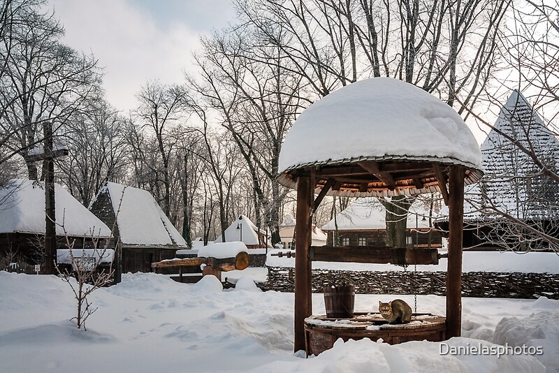 "Pastoral winter scene" by Danielasphotos | Redbubble