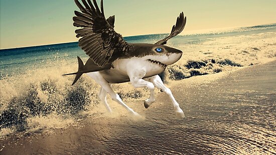 "A Shark with Horse Legs and Wings." Photographic Print by ...
