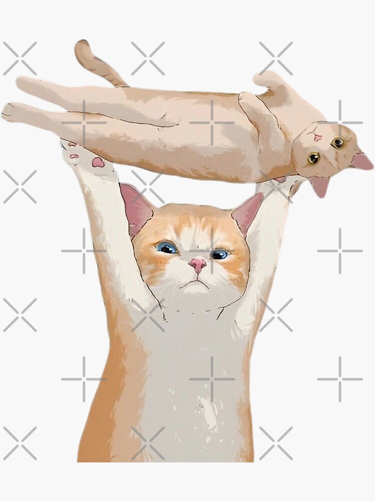 "Four Meme Cats" Sticker for Sale by zarinestore | Redbubble