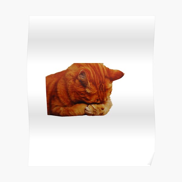 "sad cat sticker ." Poster for Sale by Marwane1shop | Redbubble