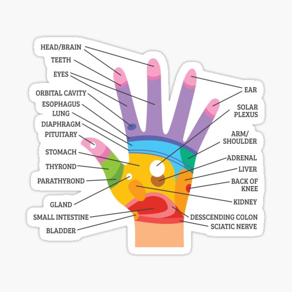 "Hand Reflexology Map - A Chart Anatomy Massage Hand Relaxation ...